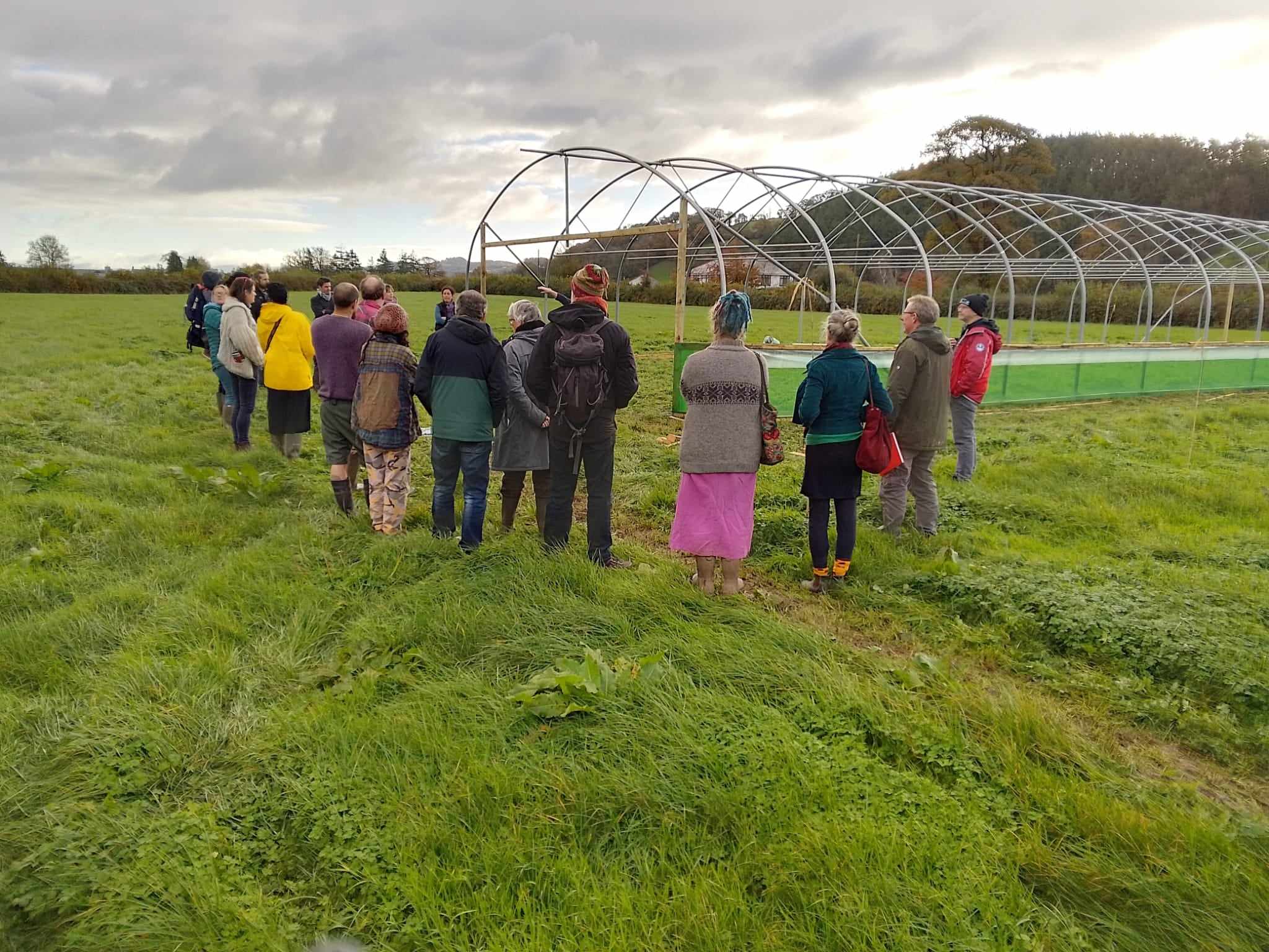 Wales | Social Farms & Gardens