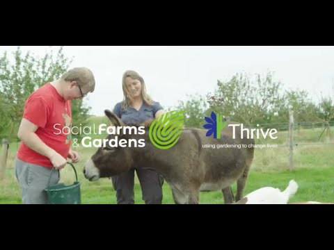 Care farming for health and social care | Social Farms & Gardens
