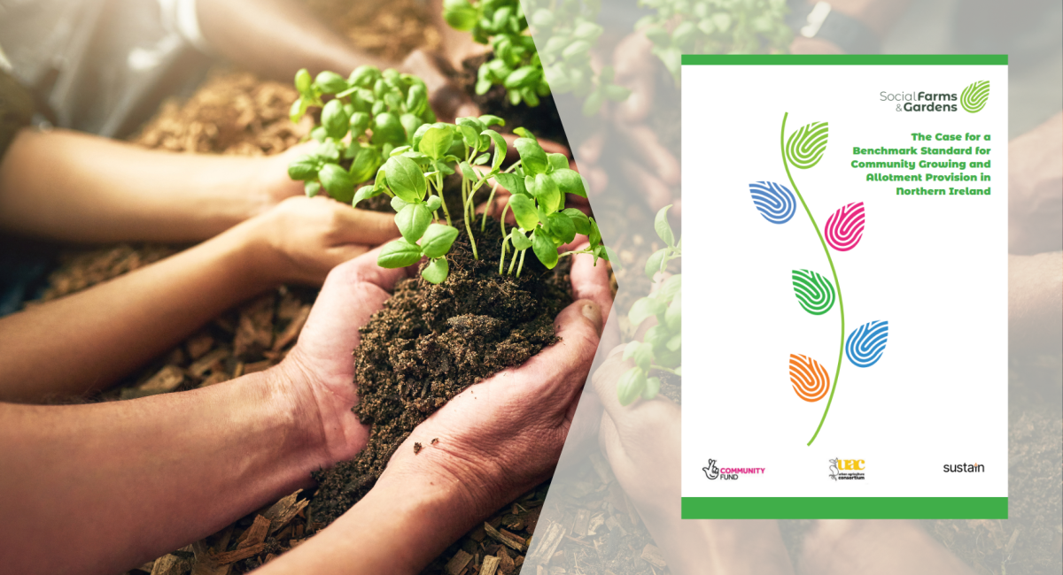 Benchmark Standard for Community Growing and Allotment Provision in ...