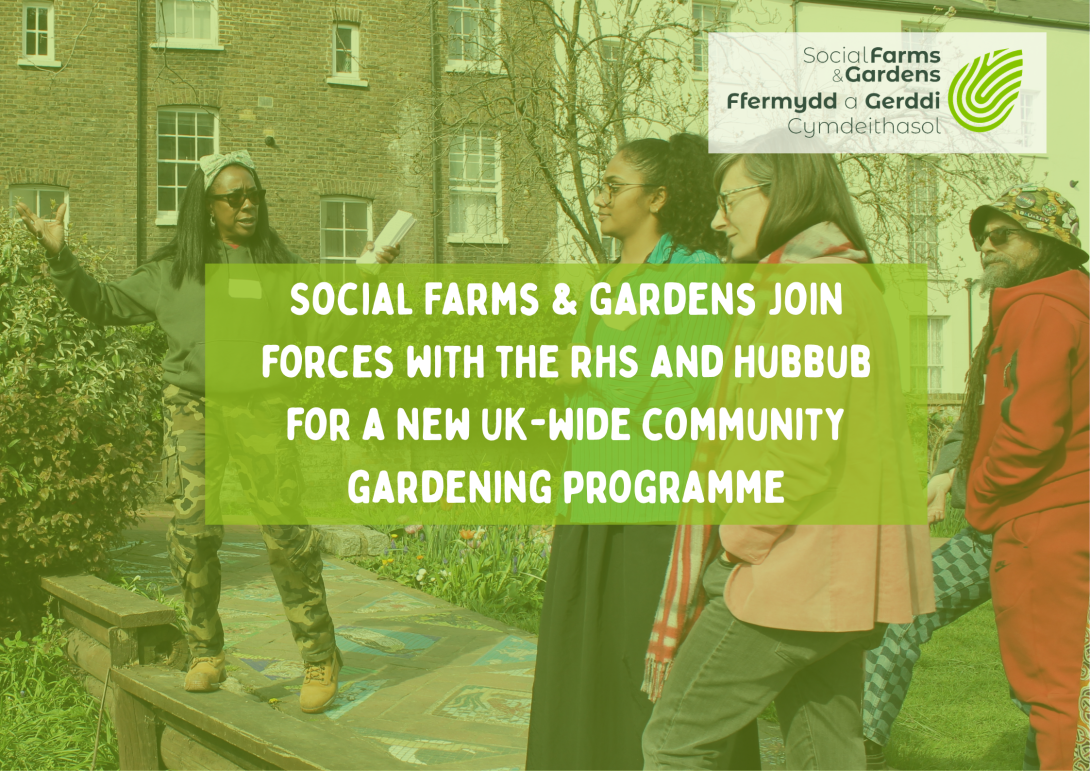 New UK wide partnership to supercharge community gardening and benefit ...