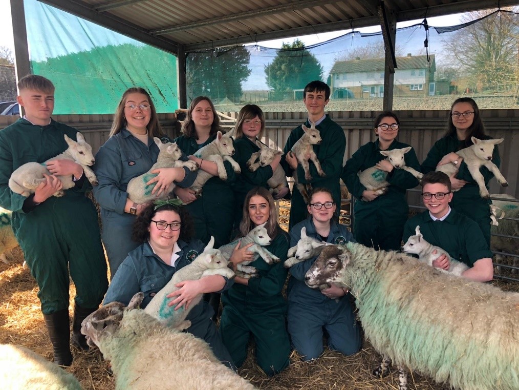 School Farms Network Conference 2021 | Social Farms & Gardens